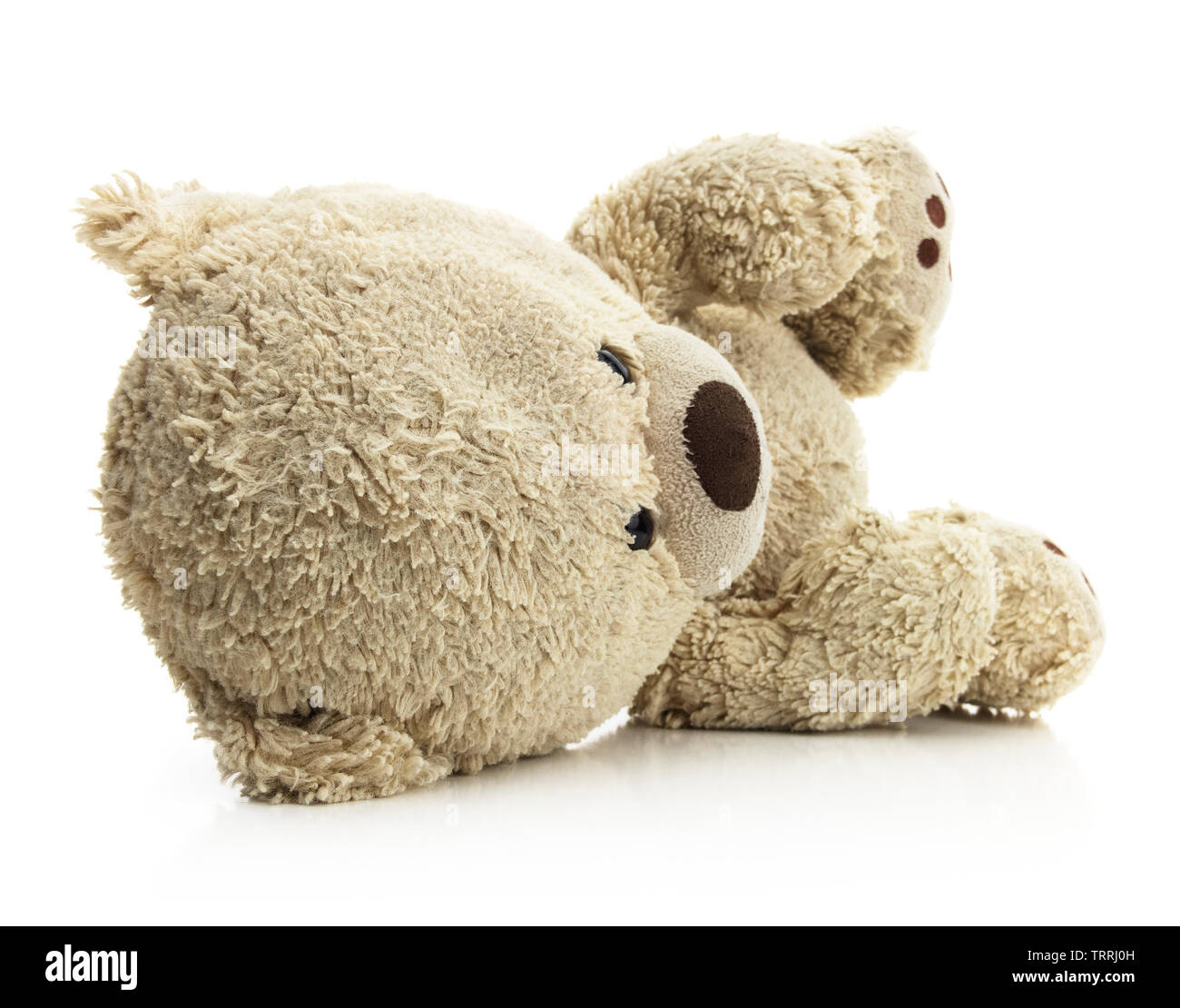 Isolated fallen teddy bear on a white background Stock Photo - Alamy
