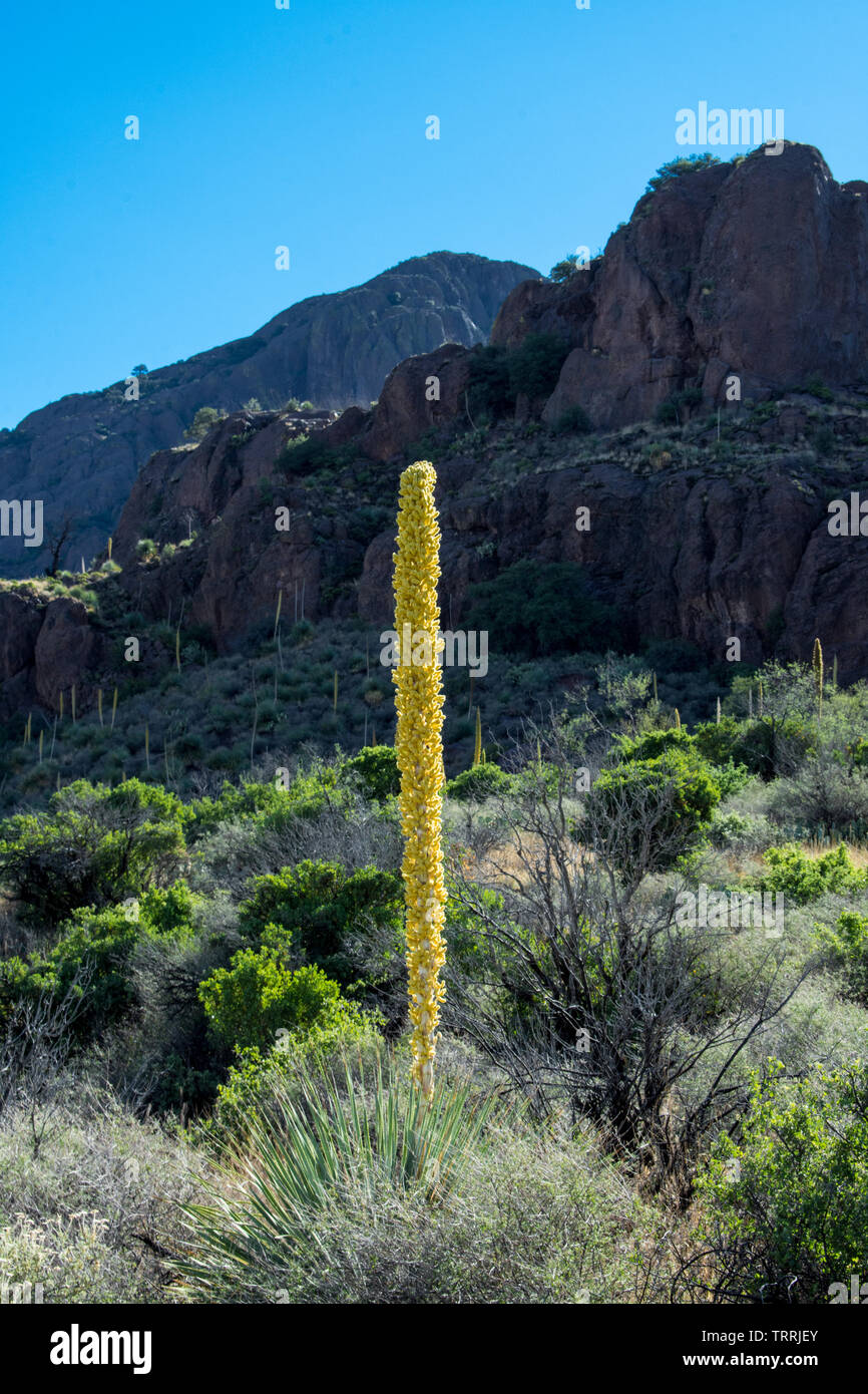 Dripping trail hi-res stock photography and images - Alamy
