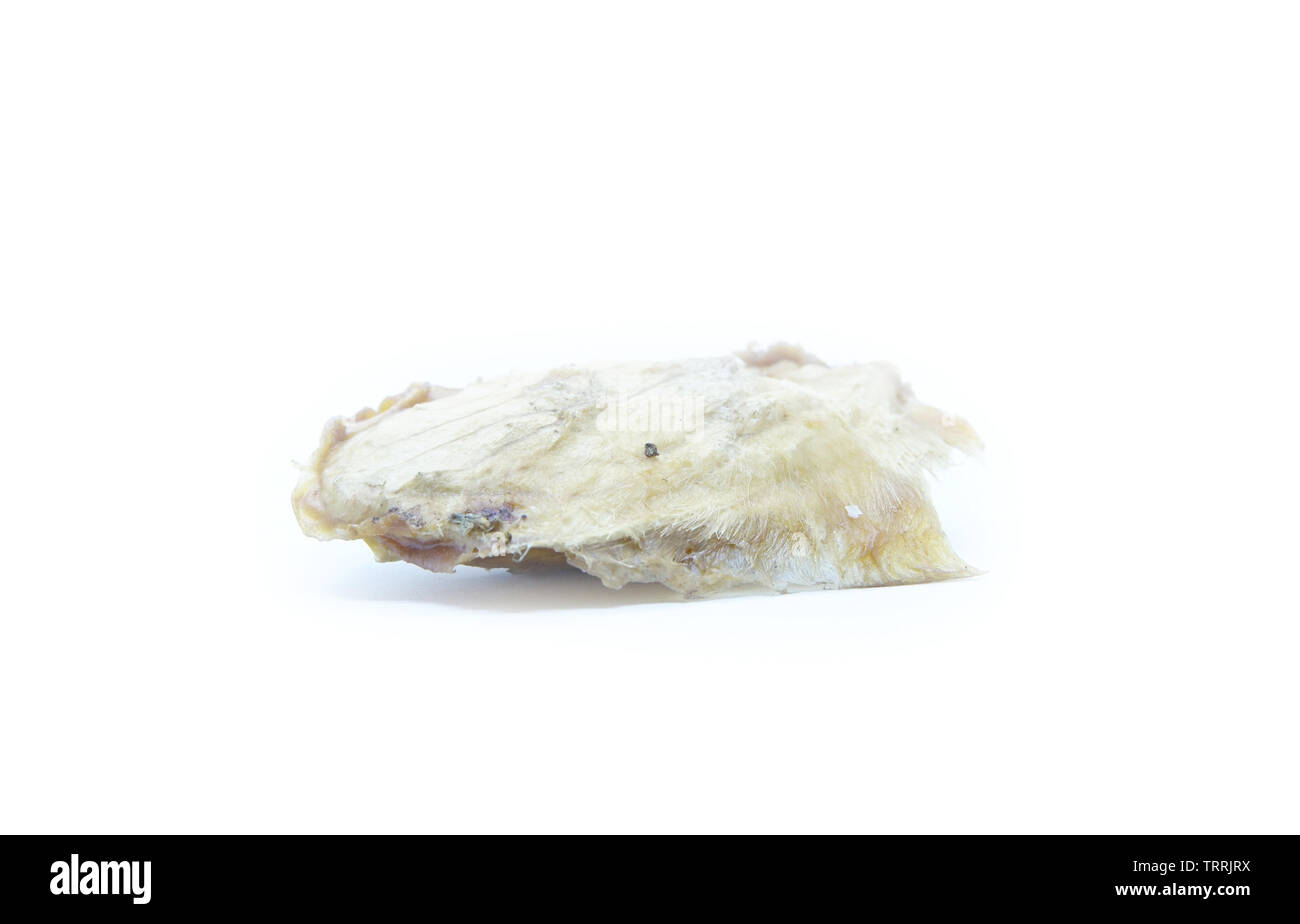 Dried mango seed isolated on white background Stock Photo - Alamy