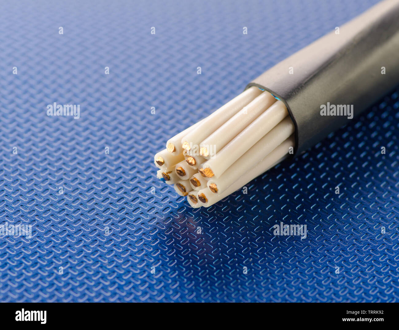 Cross-section of control cable on blue technological background Stock ...