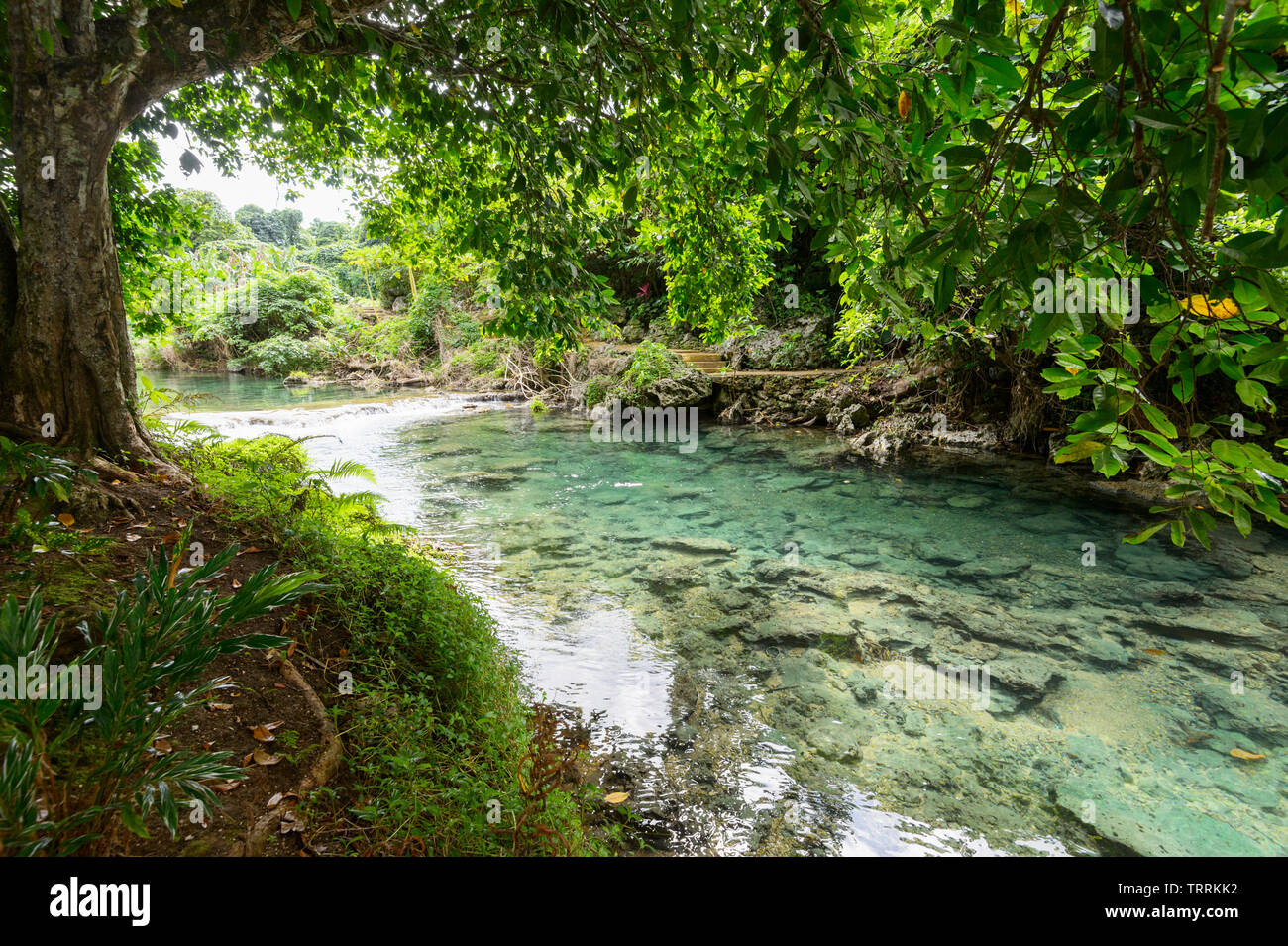 Crystalline waters of the Rarru Rentapao River near Port Vila, Efate ...