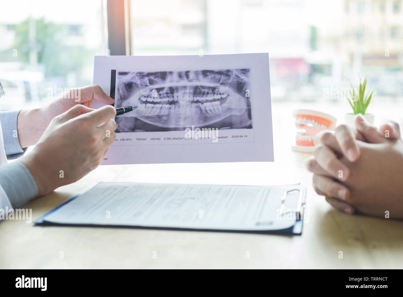 Dental hygienist demonstrating and showing a dummy jaw to chack-up or ...