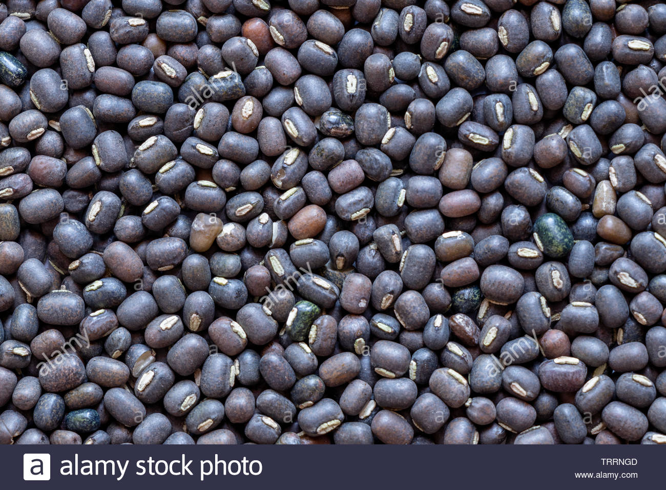 Minapa Pappu Stock Photos & Minapa Pappu Stock Images - Alamy