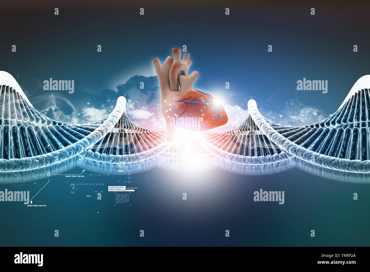 Dna model with human heart Stock Photo - Alamy