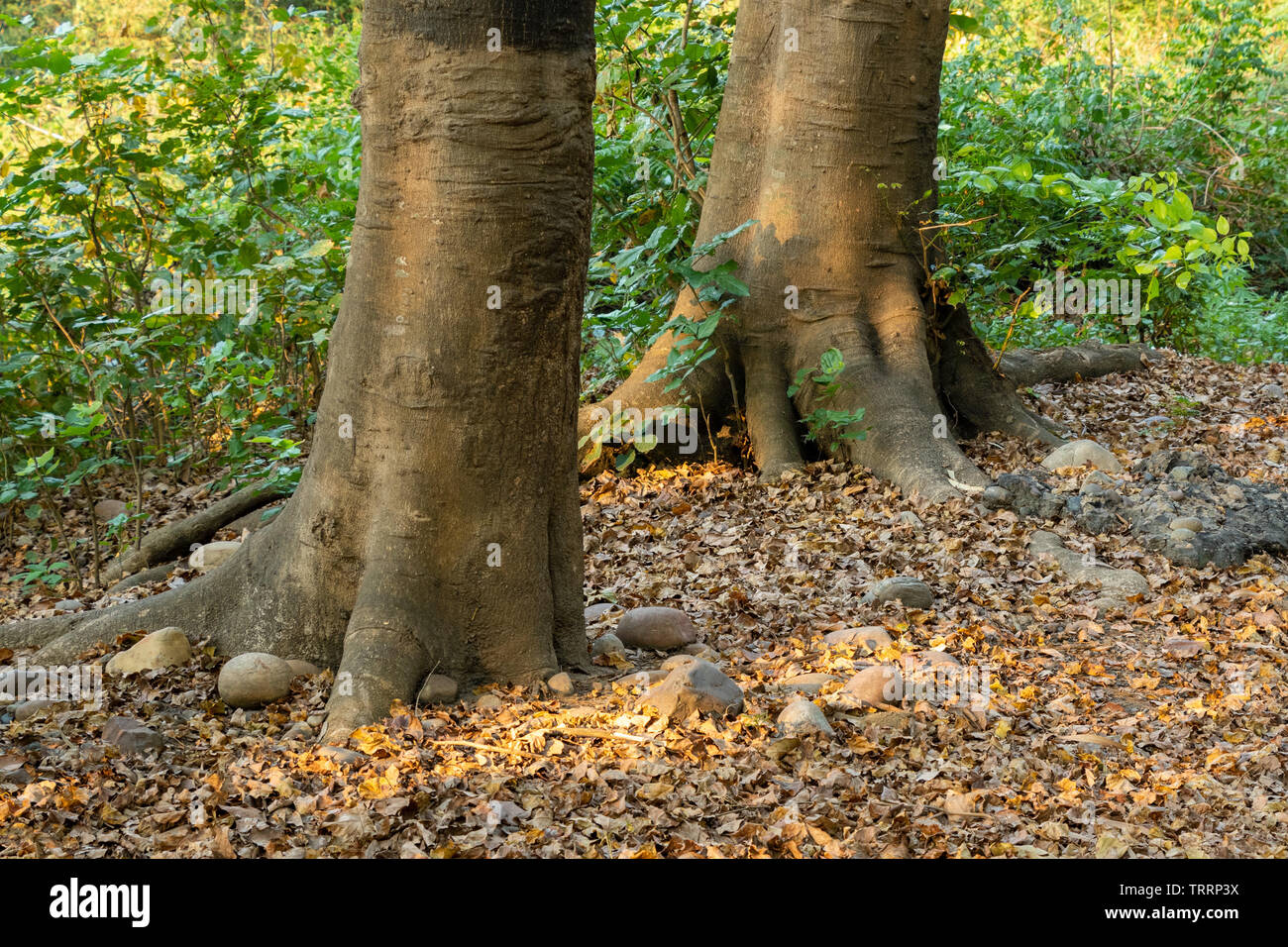 Big environment hi-res stock photography and images - Alamy