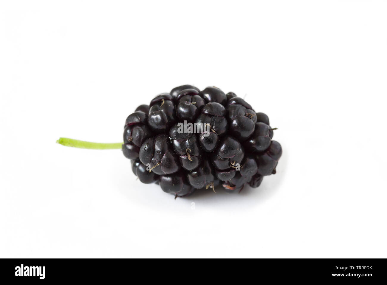 Mulberry isolated hi-res stock photography and images - Alamy