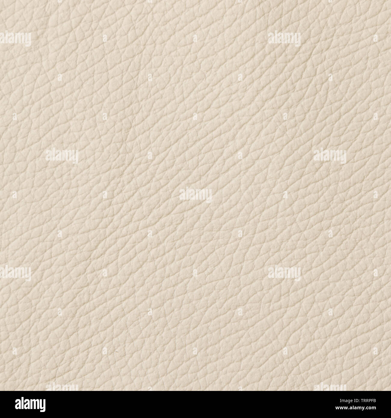 Light color backdrop hi-res stock photography and images - Alamy