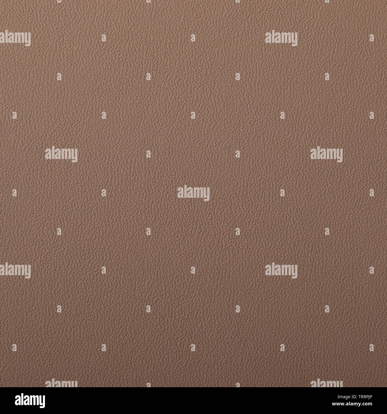 Light color backdrop hi-res stock photography and images - Alamy