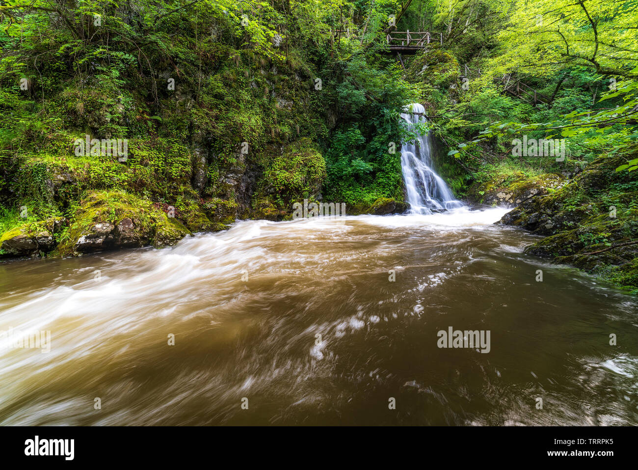 Spring river in the forest with beautiful waterfall and wooden bridge ...
