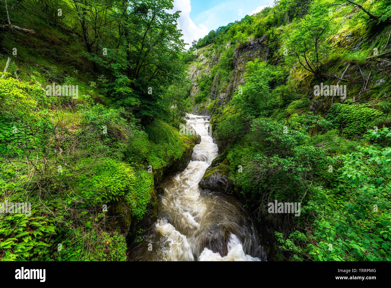 Spring river in the forest with beautiful waterfall and wooden bridge ...