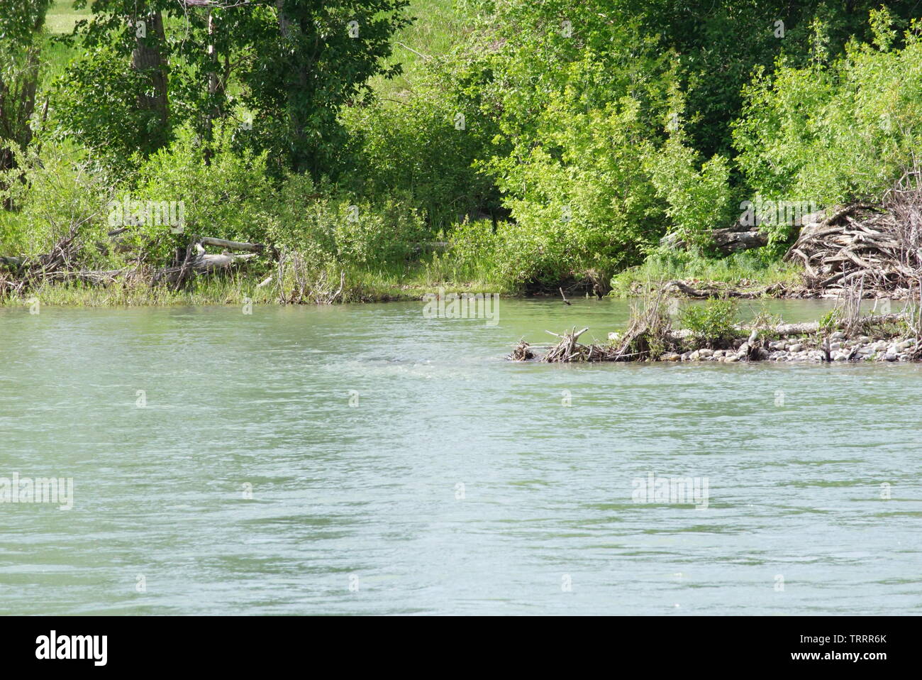 High bow river hi-res stock photography and images - Alamy