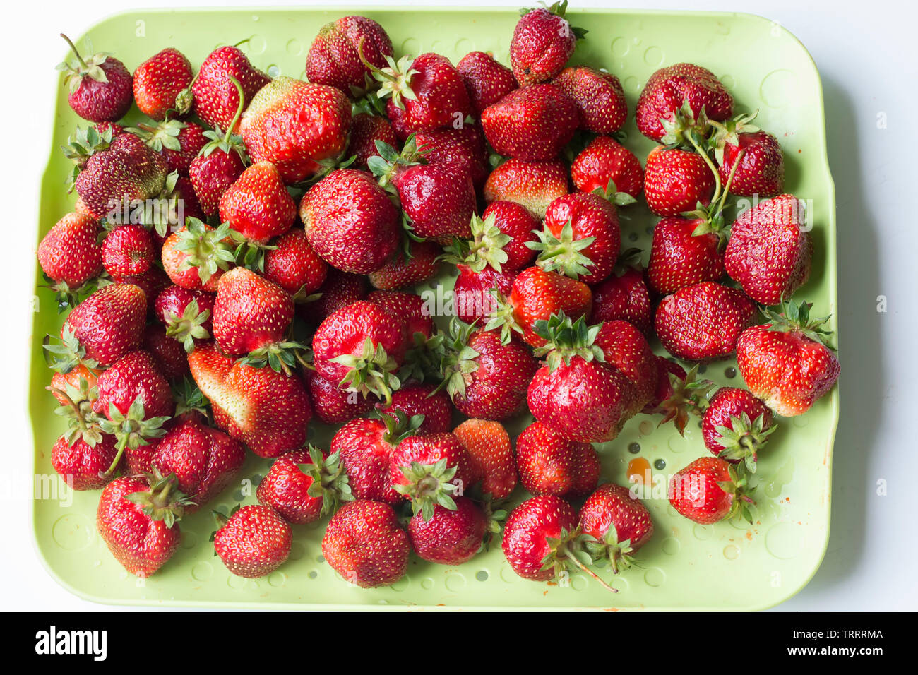 A lot of strawberries in a plate top view.Red berry in a rectangular ...