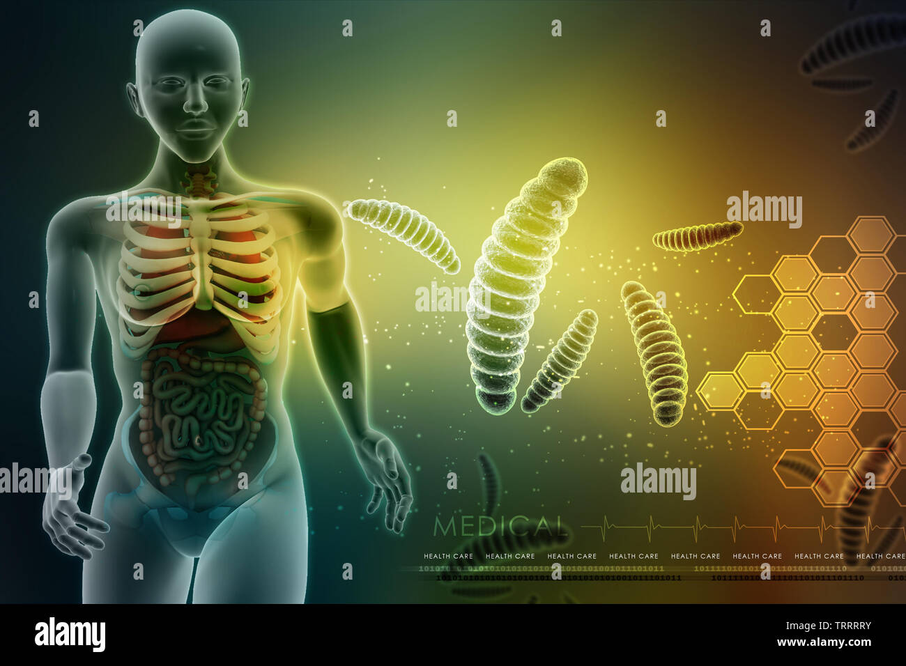 woman female human body with bacteria Stock Photo - Alamy