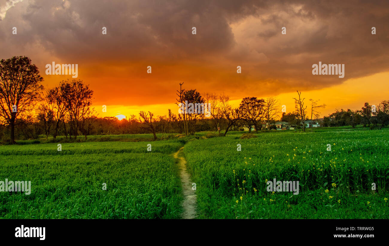 Golden sunset farm hi-res stock photography and images - Alamy
