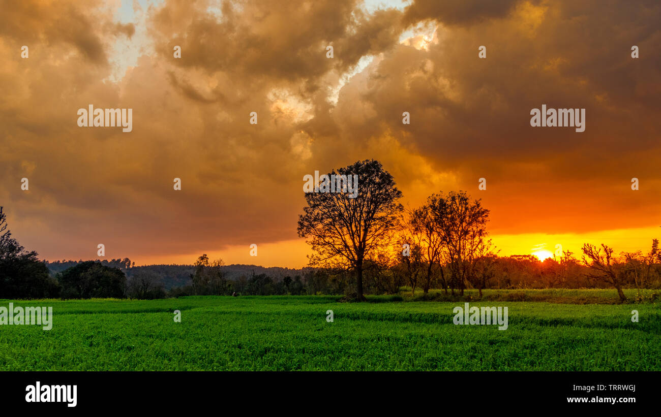 Beautiful farm on nature hi-res stock photography and images - Alamy