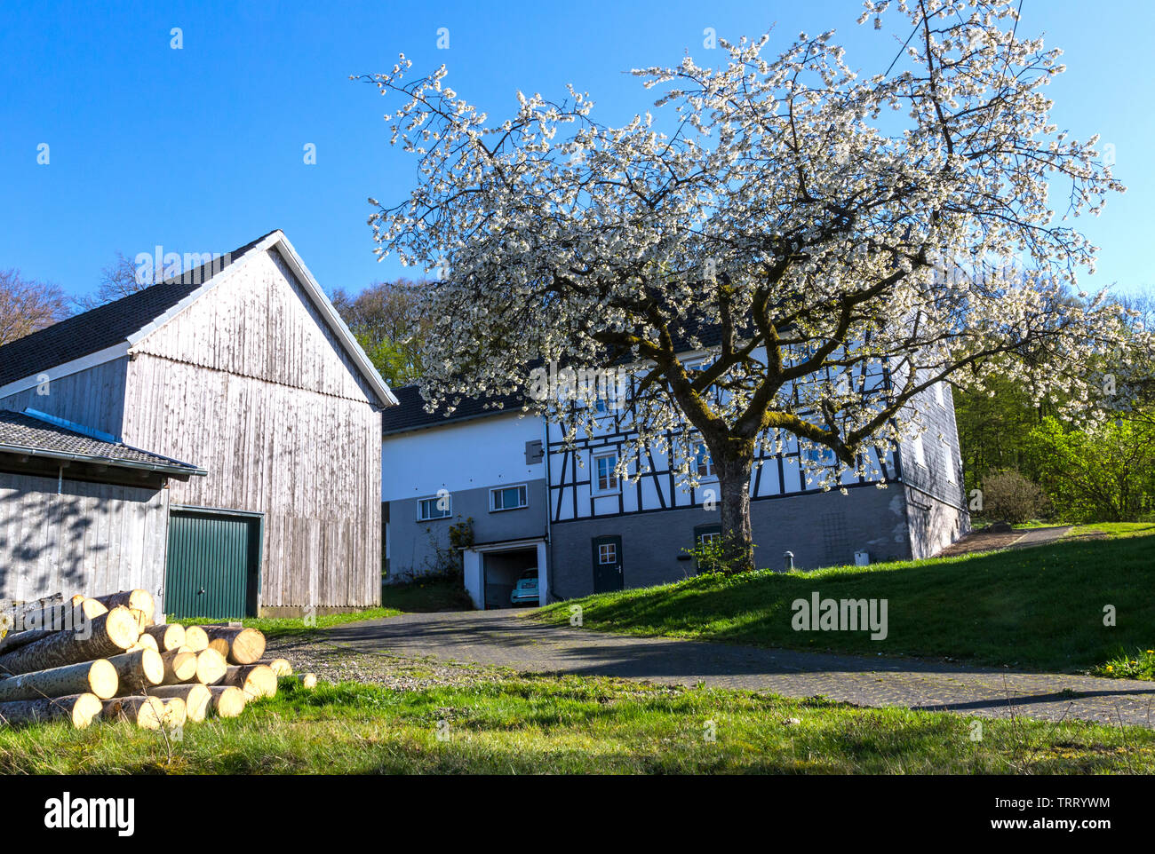 Farm scene in Germany Stock Photo - Alamy