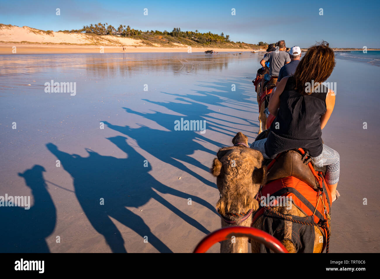 Riding camel at australia hi-res stock photography and images - Alamy