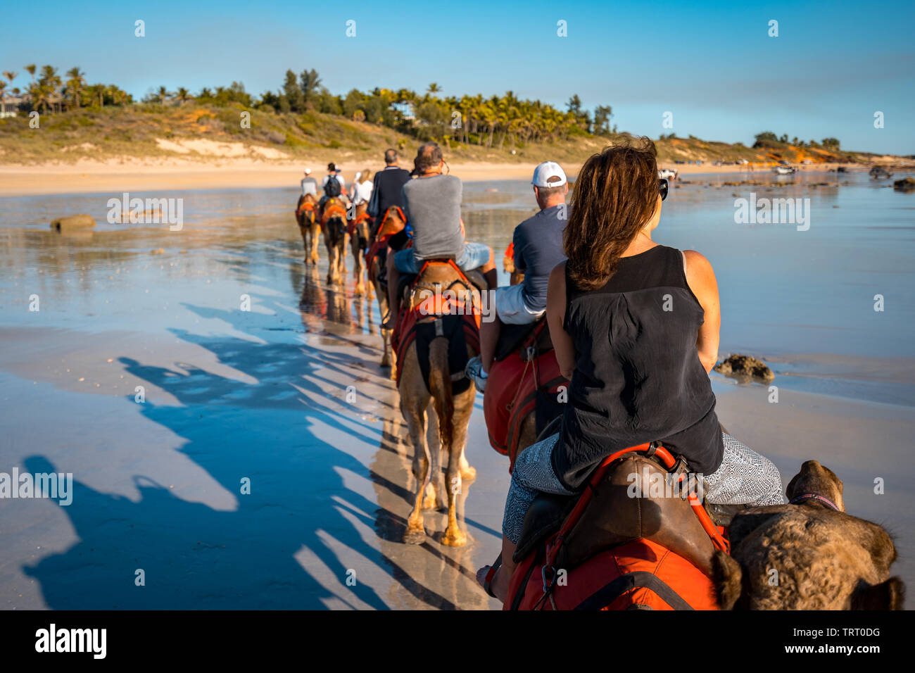 Riding camel at australia hi-res stock photography and images - Alamy