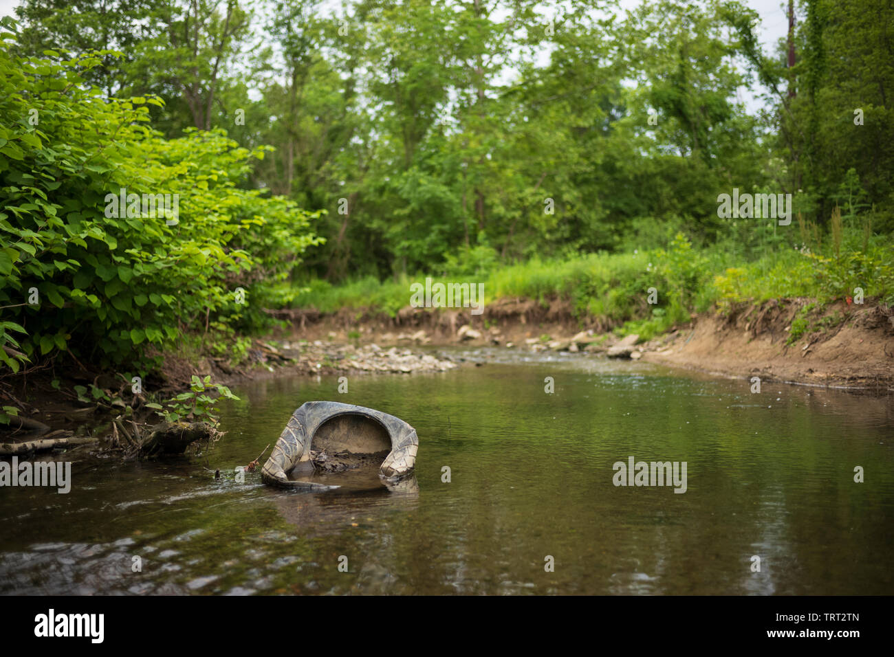 Debris droppings junk litter residue rubbish rubble sediment waste ...