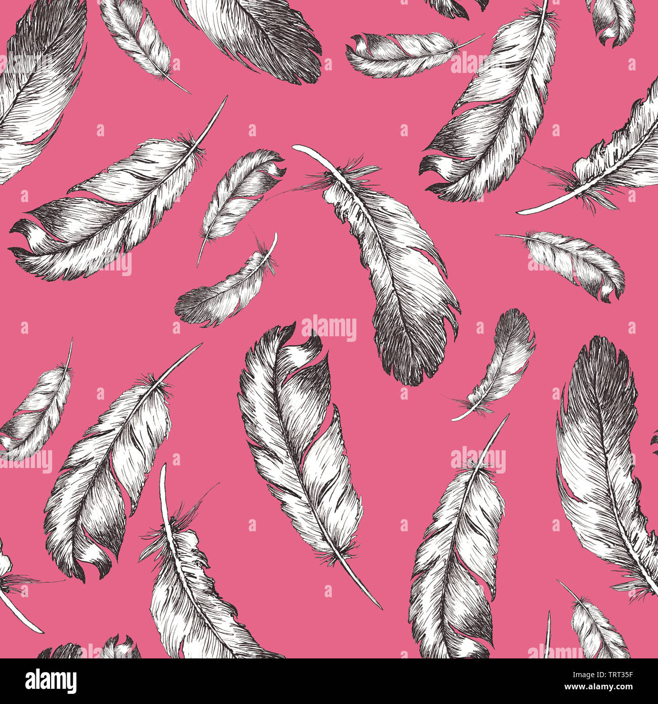 white and black sketch illustration of bird feathers isolated on trendy ...