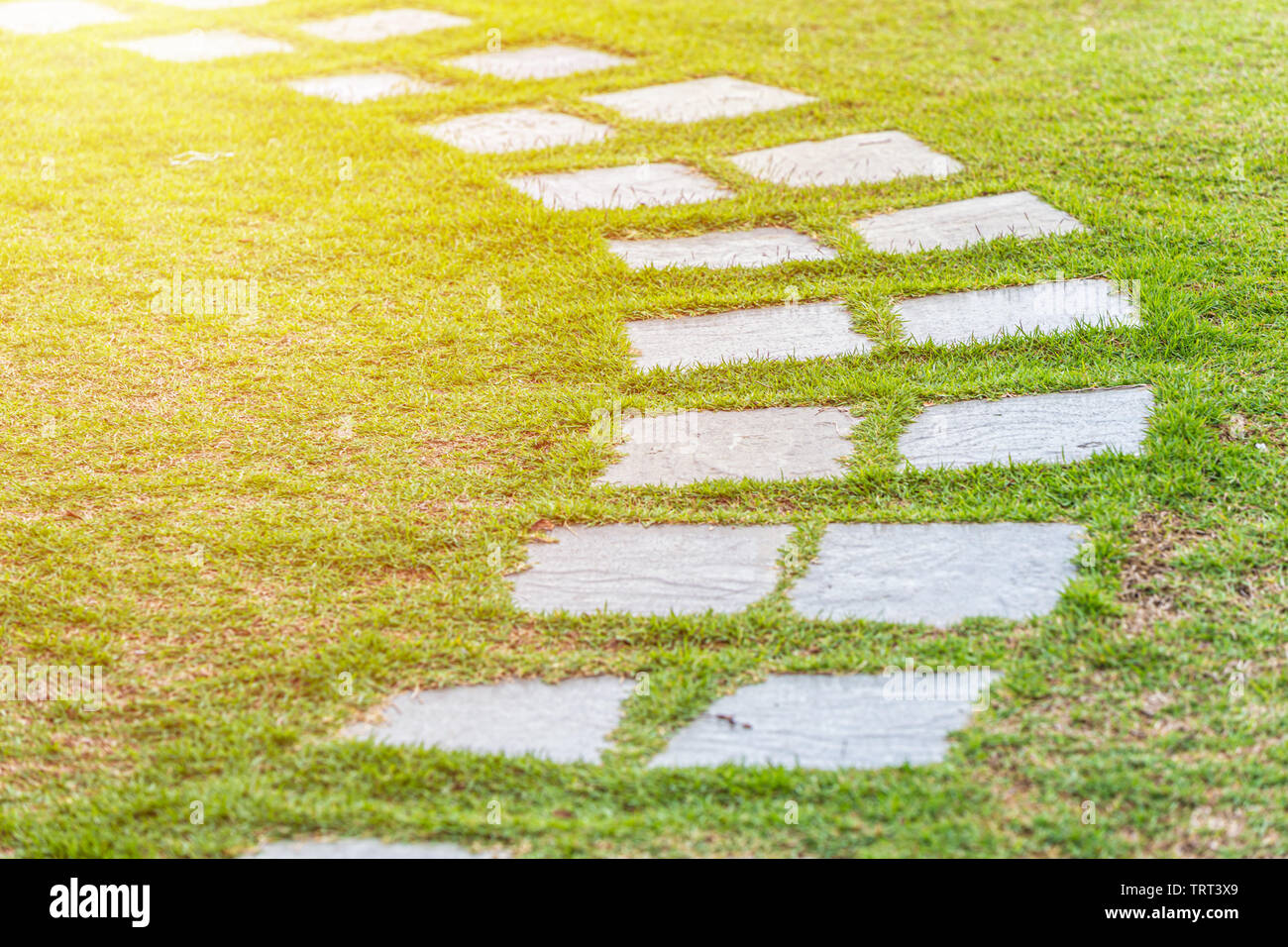 walkway or footpath across green grass field.step to business success ...