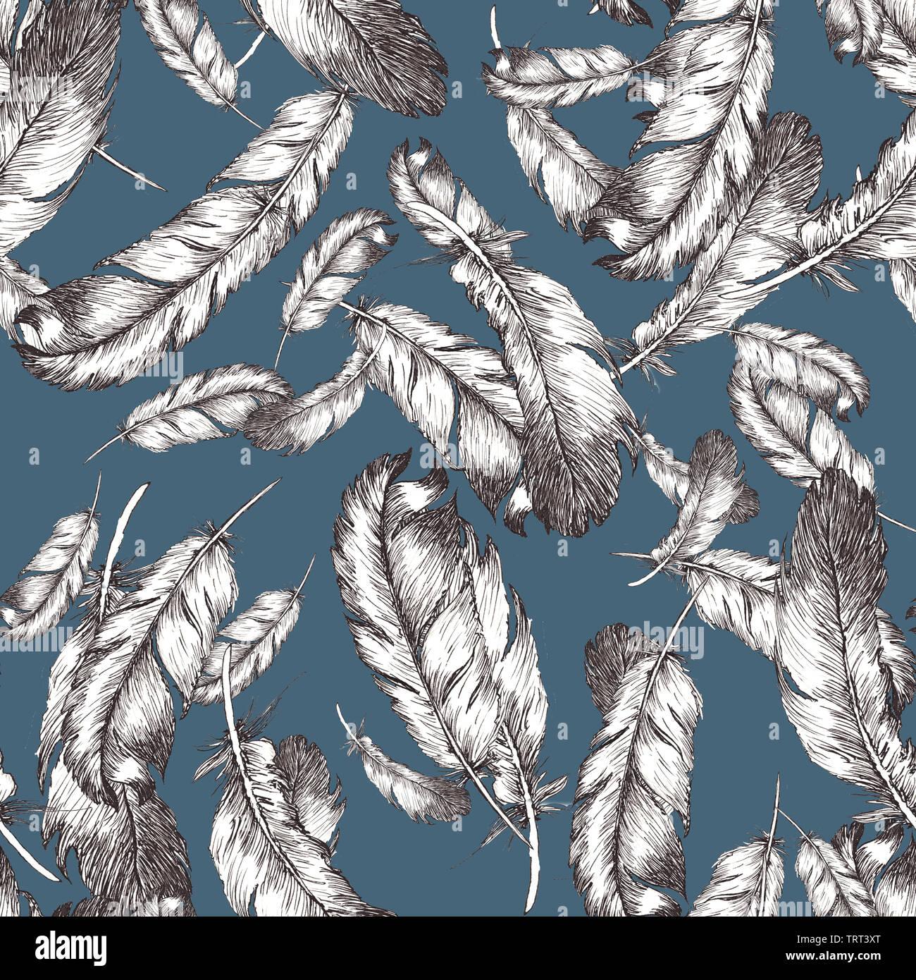 white and black sketch illustration of bird feathers on trendy ...