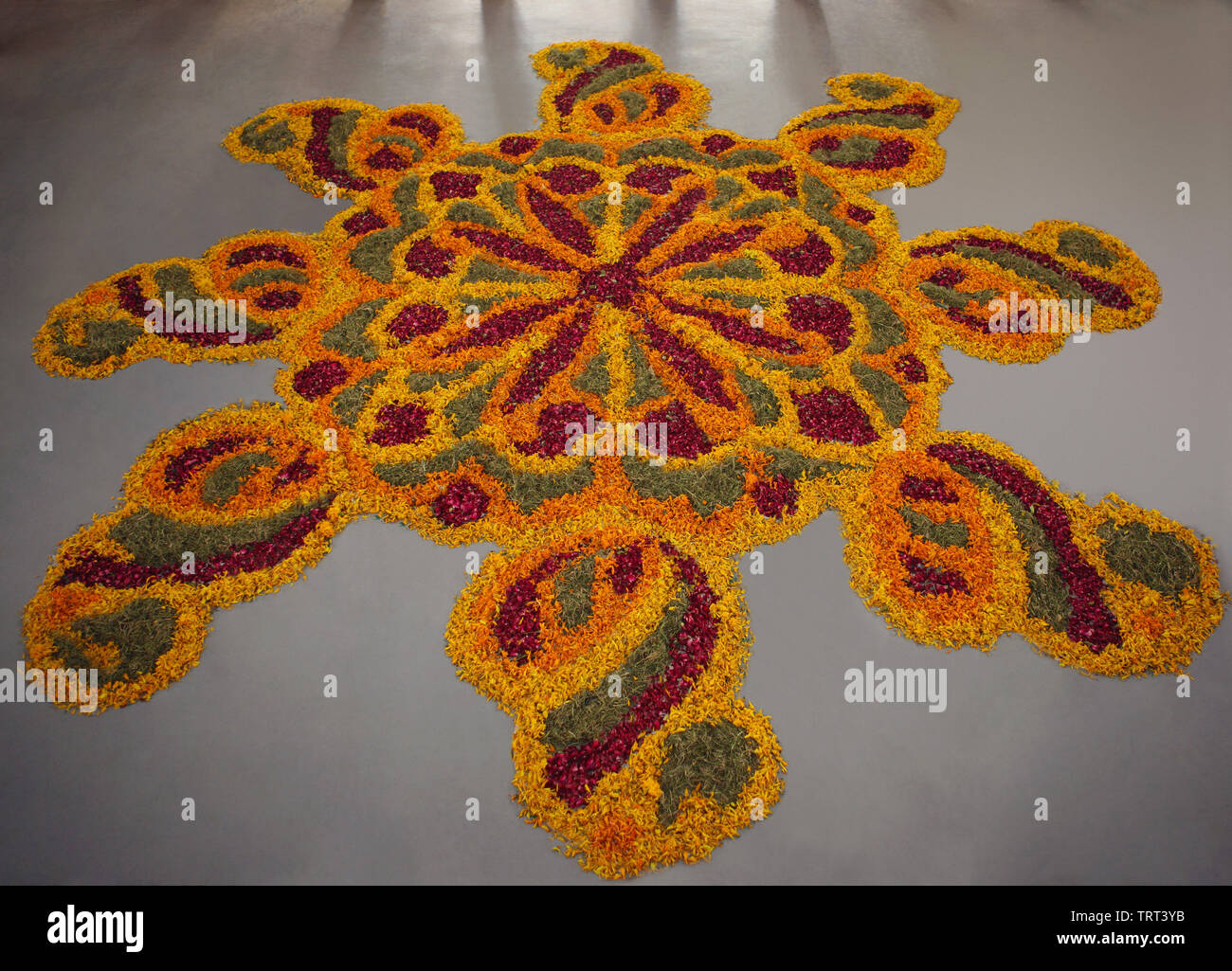 Close-up of colorful rangoli on the floor, India Stock Photo - Alamy
