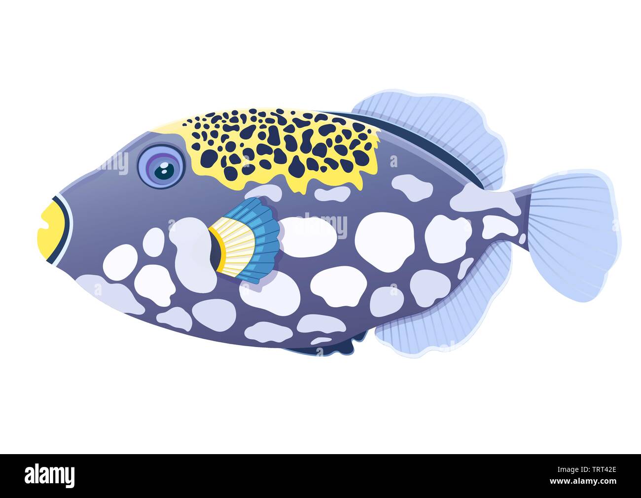 Triggerfish fish clown, flat cartoon realistic drawing, hand drawn sea ...