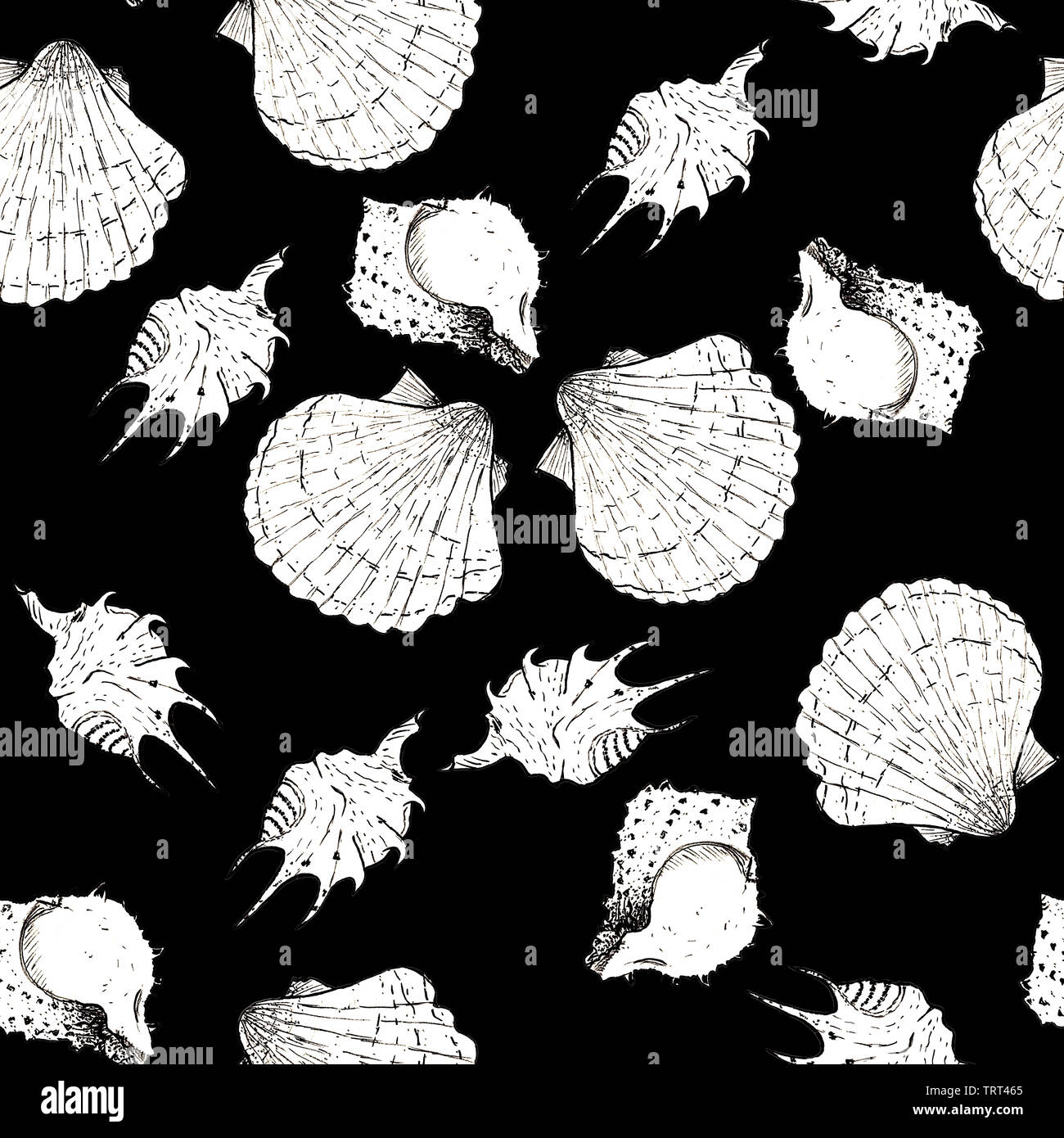 White and black sketch illustration of seashells on black background ...