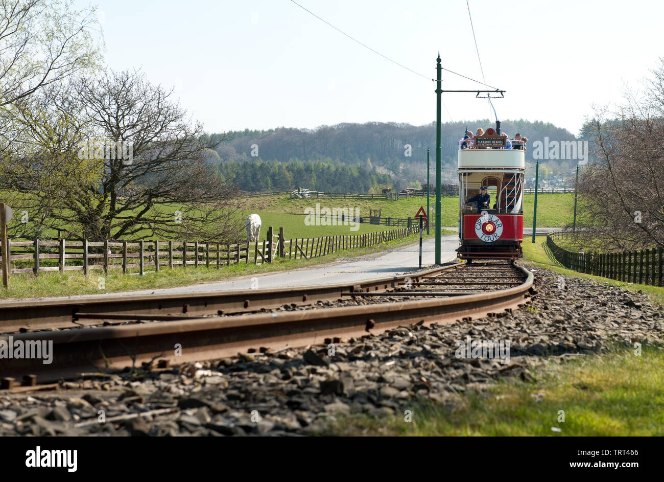 Vintage electric tram carrying passengers at Beamish Open Air Museum ...