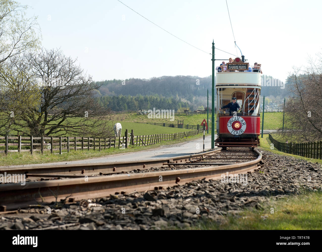 Vintage electric tram carrying passengers at Beamish Open Air Museum ...