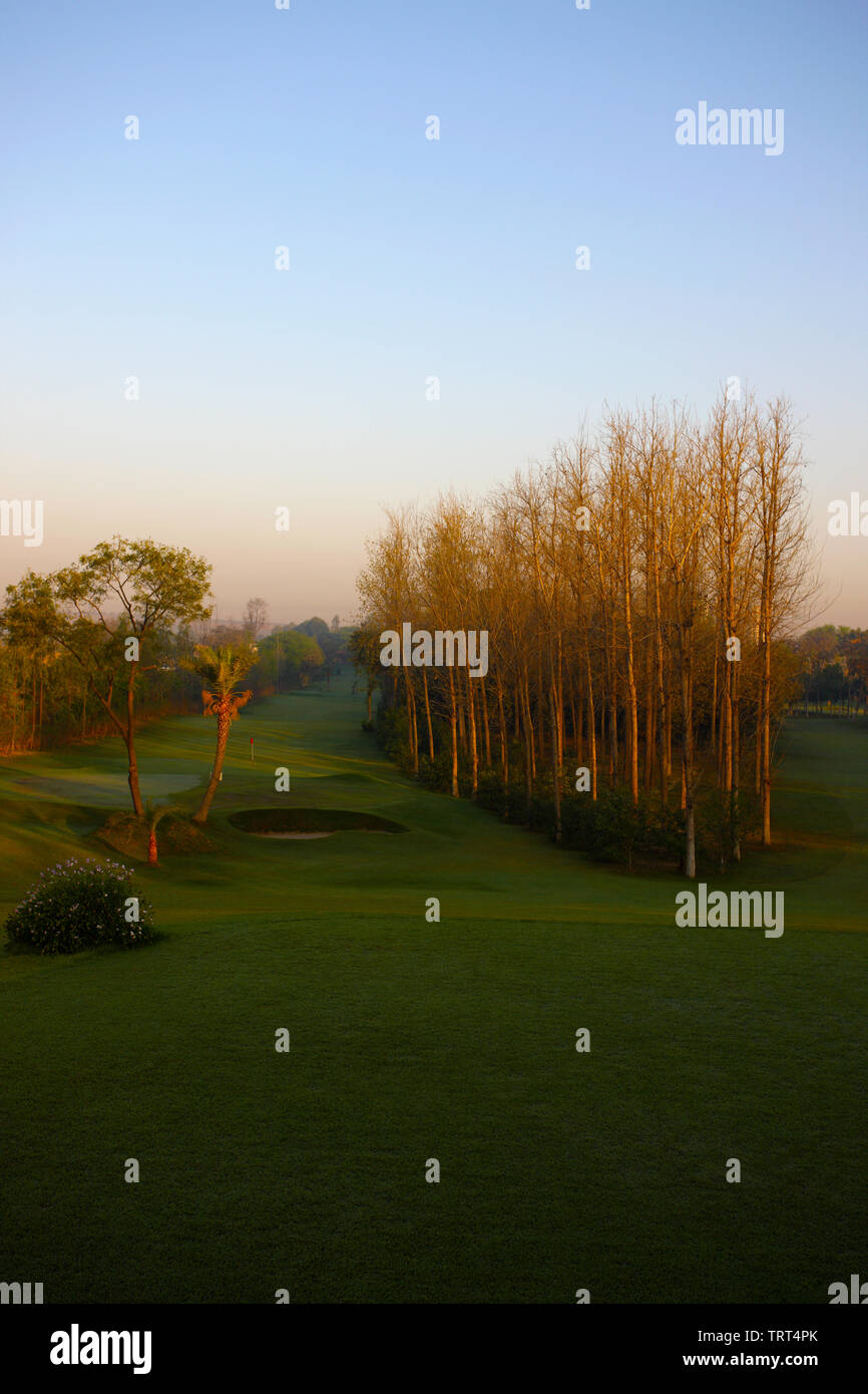 Trees in a golf course Stock Photo - Alamy
