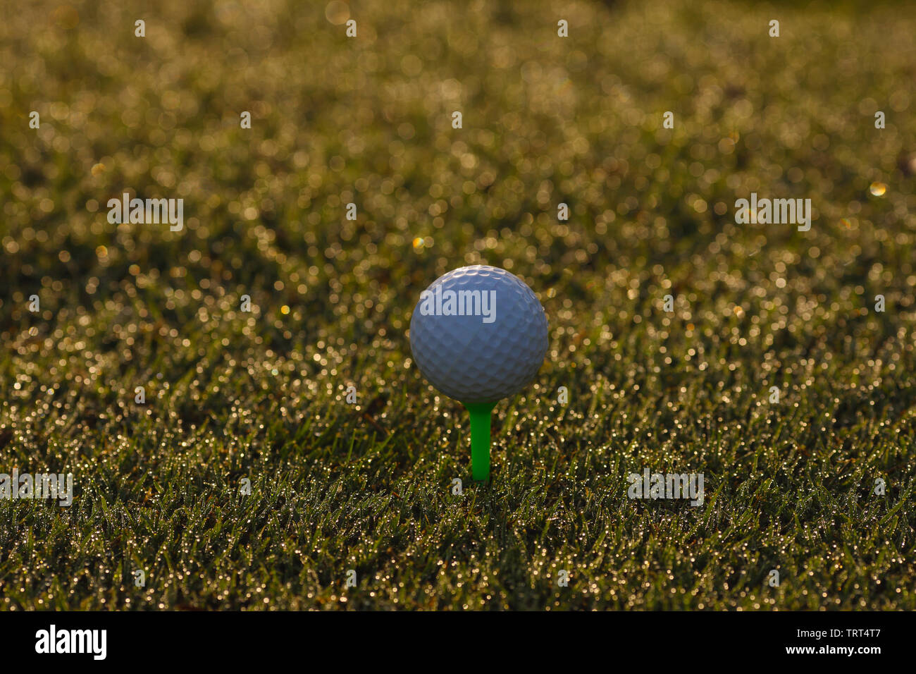 Golf ball on a tee Stock Photo - Alamy