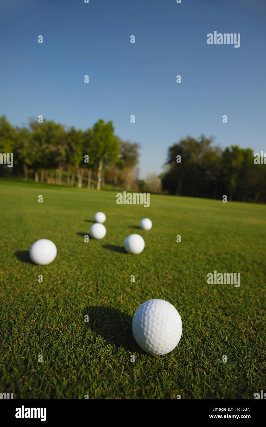 Golf balls in a golf course Stock Photo - Alamy