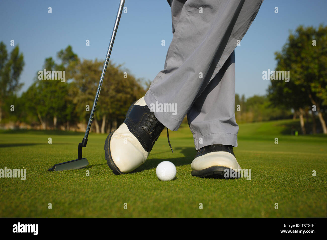 Low section view of a golfer standing with a golf club in a golf course ...