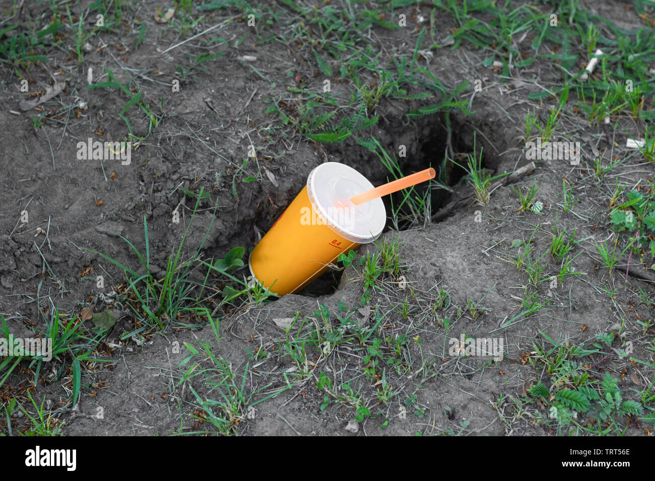 plastic cup grass pollute ecological Stock Photo - Alamy