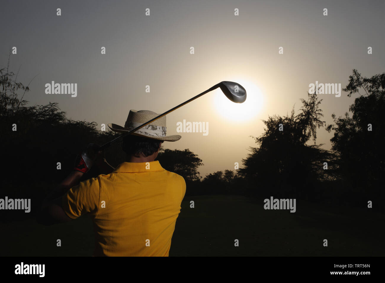 Rear view of a man playing golf Stock Photo - Alamy