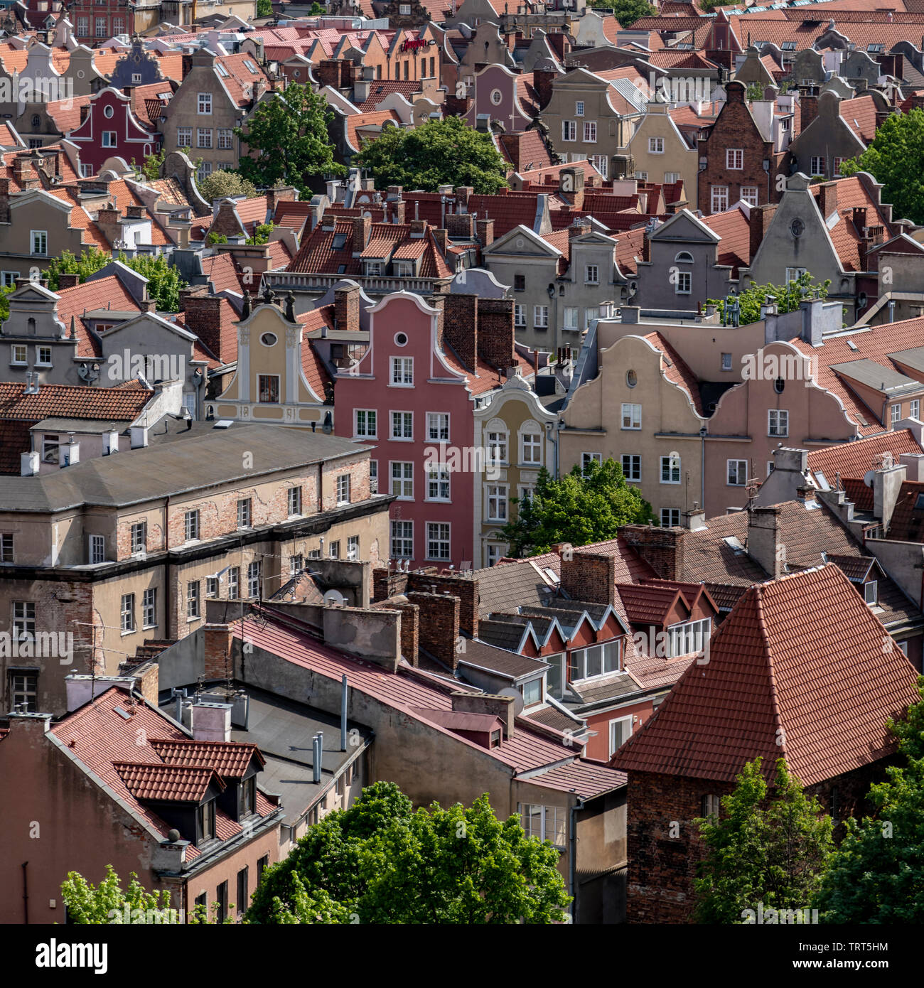 Bird's eye view over the Old Town in Gdansk. Taken from the clock tower ...