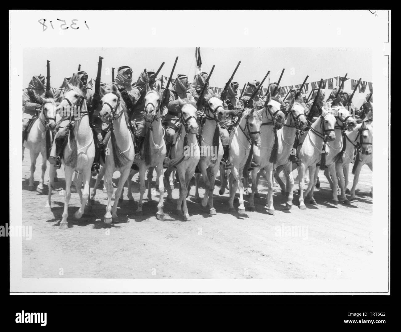 Arab legion camel corps hi-res stock photography and images - Alamy
