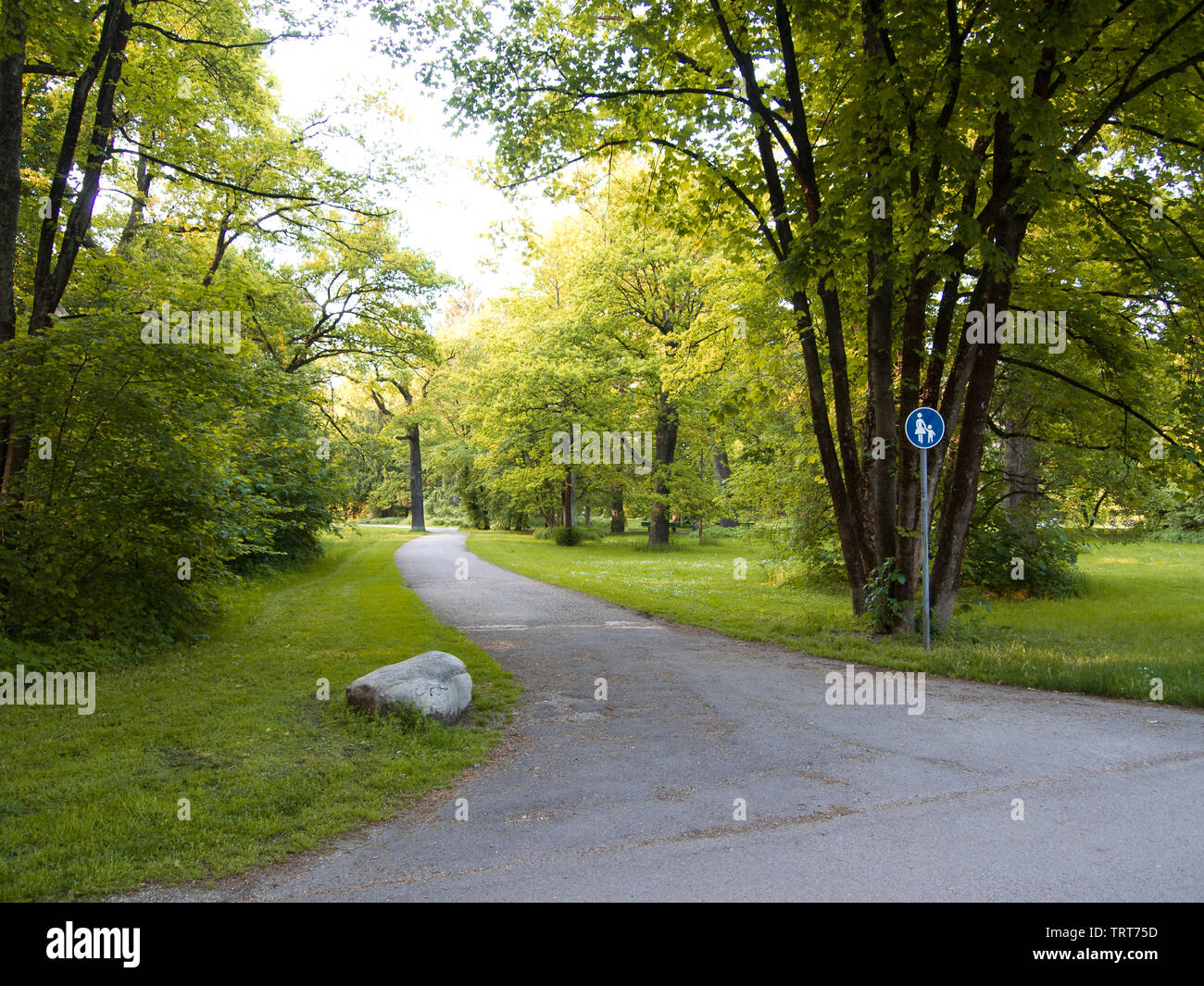 Hirschgarten park in Munich, Bavaria with sunset light Stock Photo - Alamy