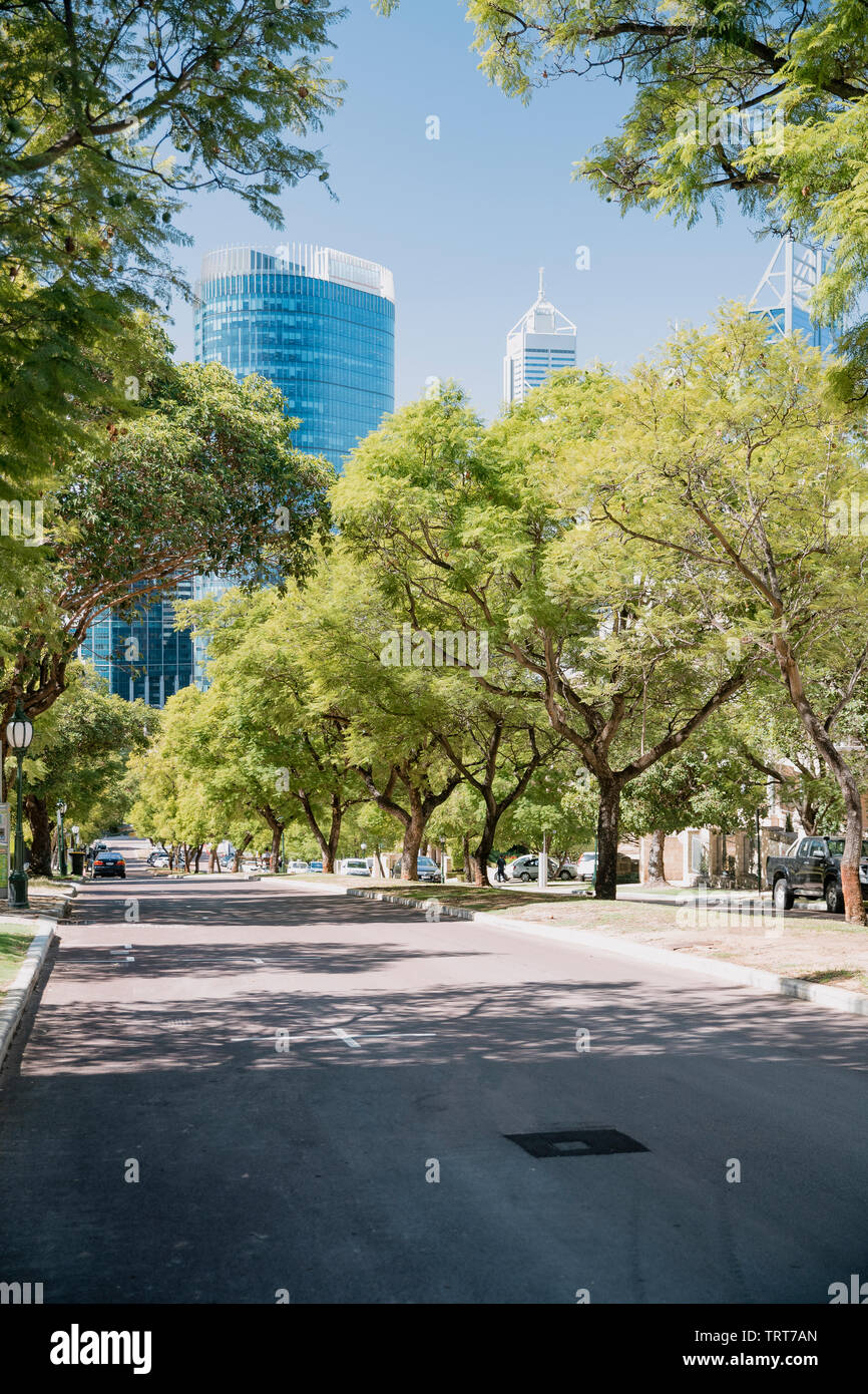 Road in Perth, Australia lined with trees with a view of tall glass ...