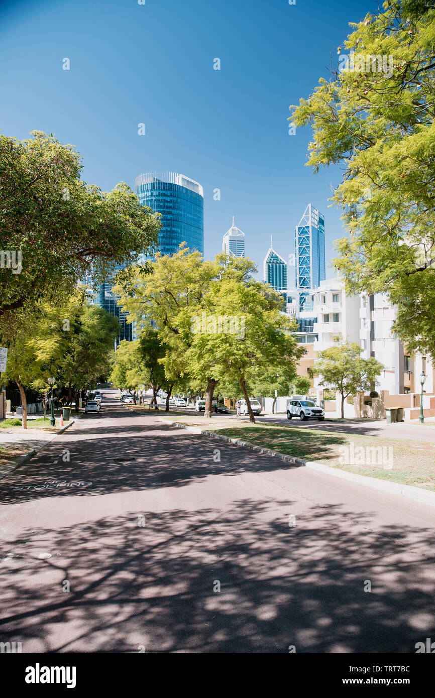 Road in Perth, Australia lined with trees with a view of tall glass ...