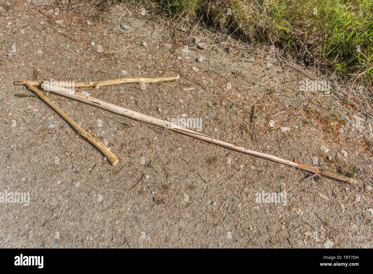 Survival concept - Method of indication direction of personal movement ...