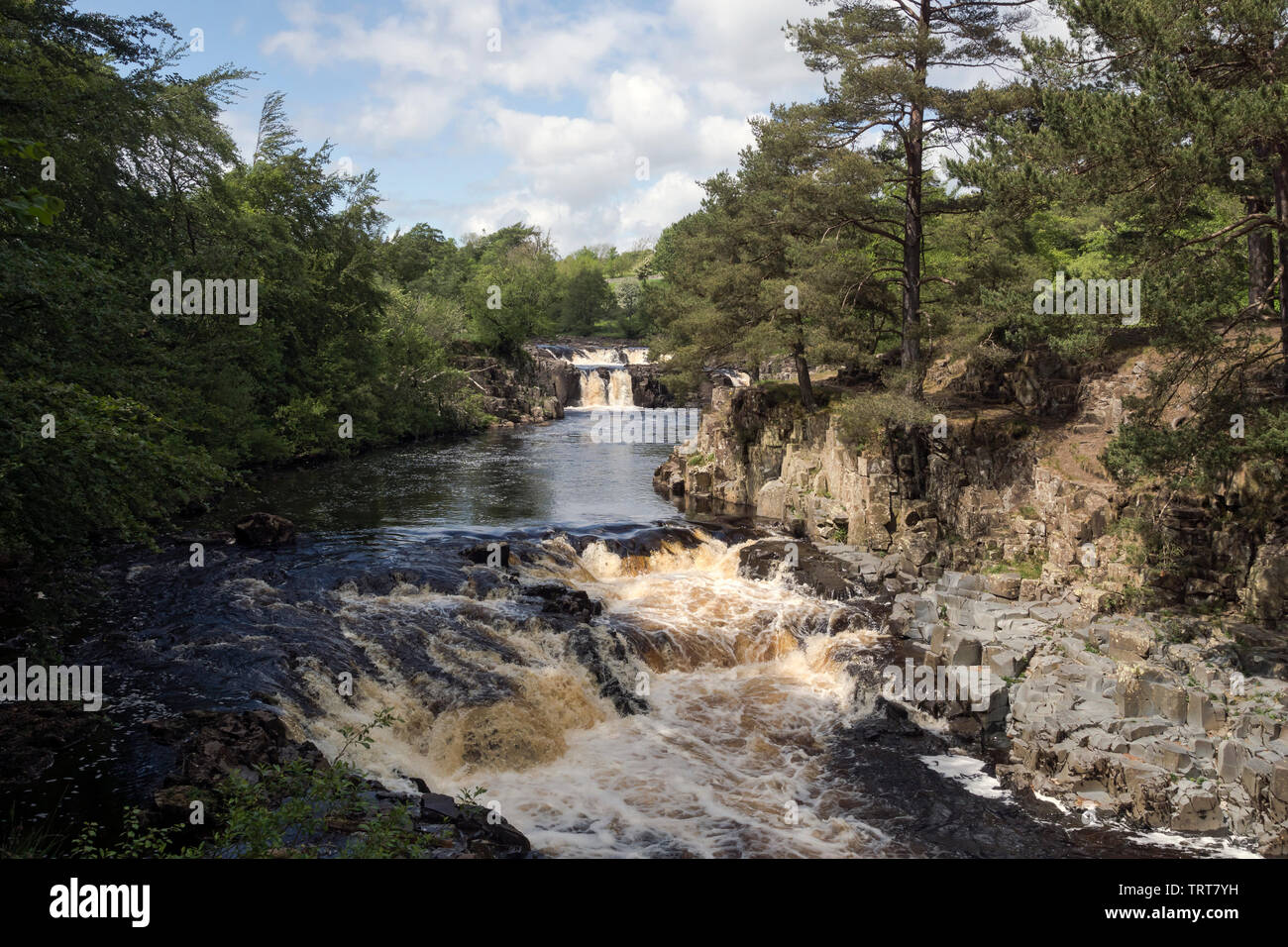 River tees hi-res stock photography and images - Alamy