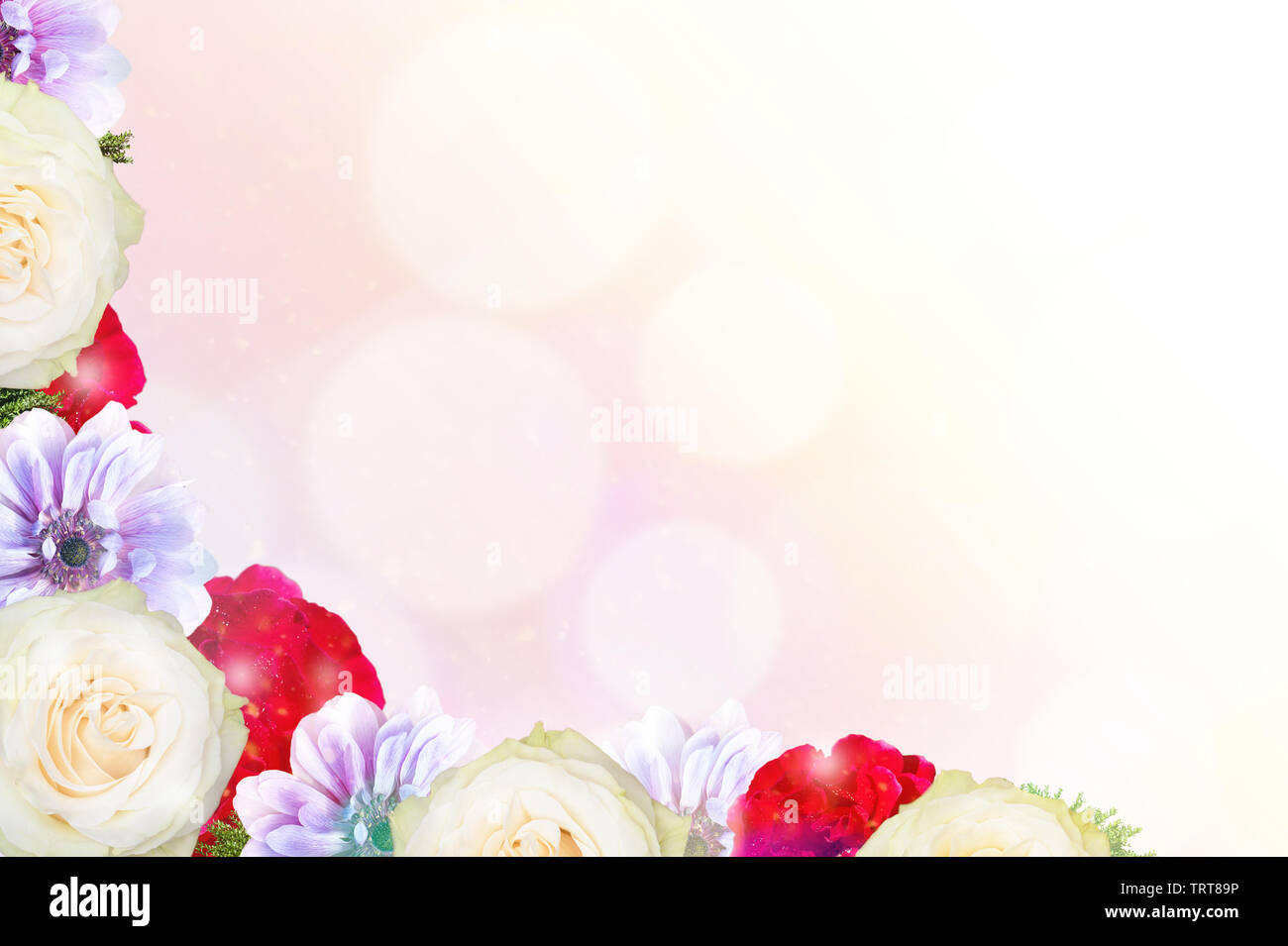 Flower Bokeh Wallpaper