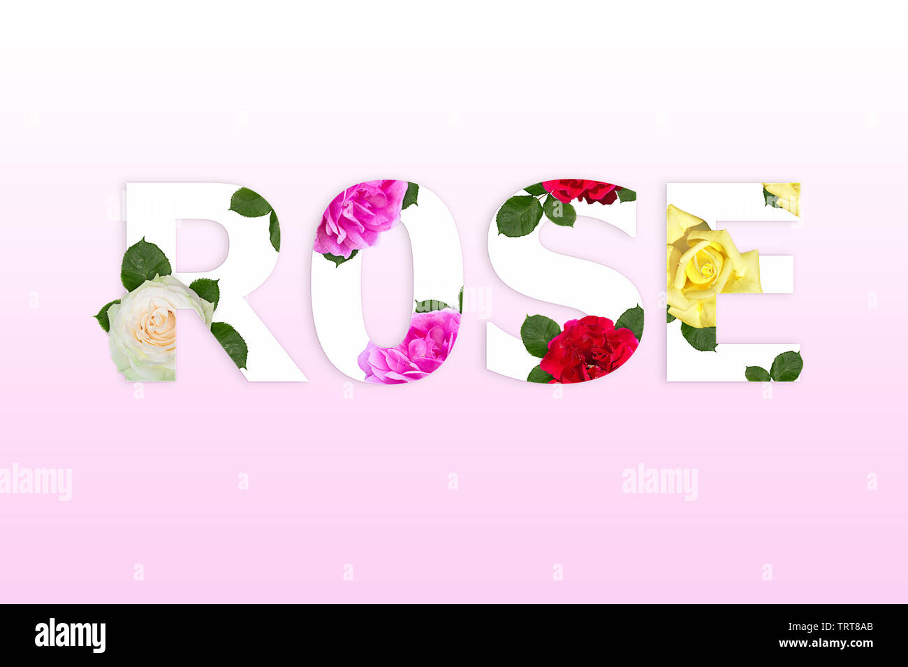 Pink rose love word red hi-res stock photography and images - Alamy