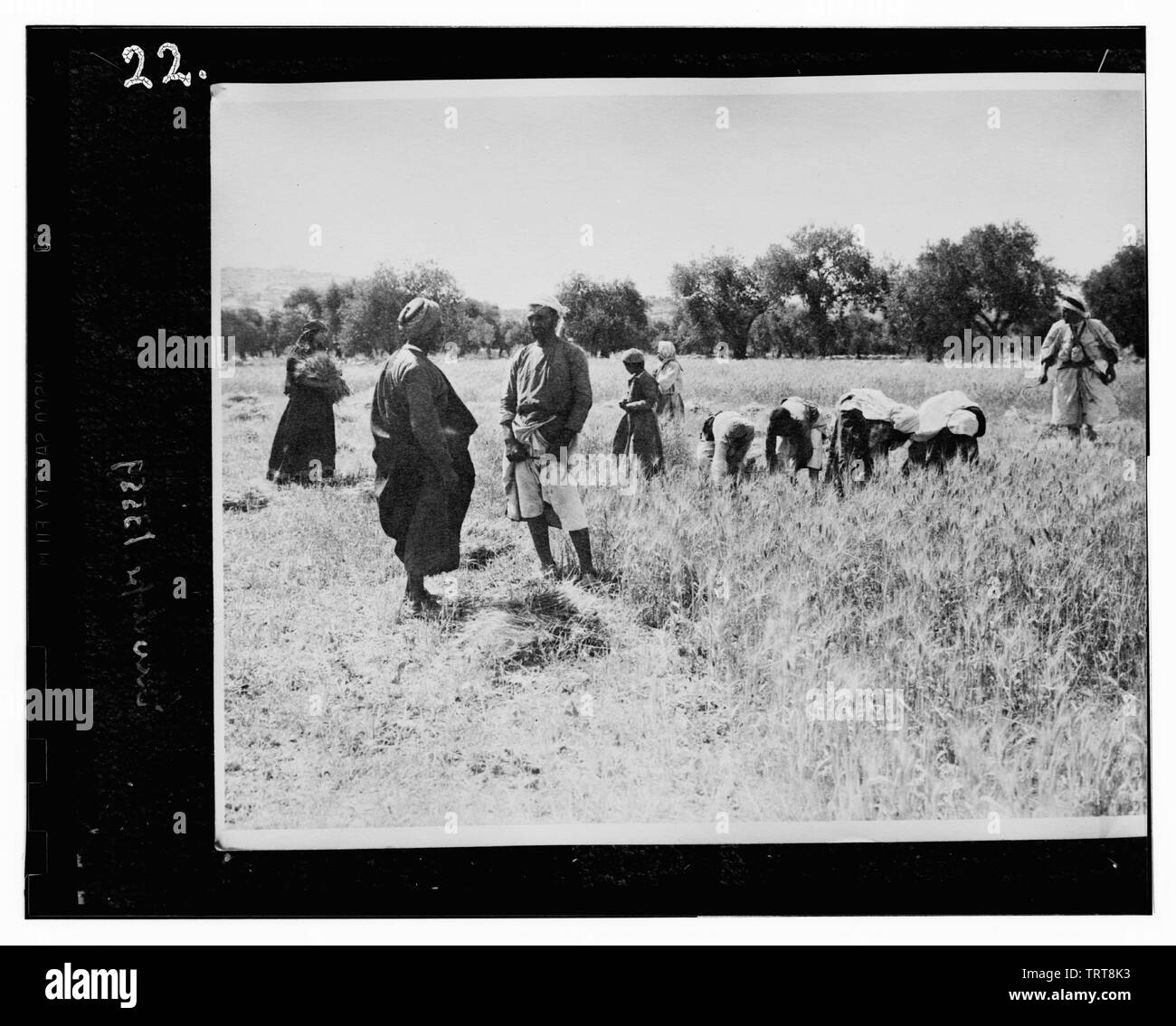 Ruth story Abstract/medium: G. Eric and Edith Matson Photograph ...
