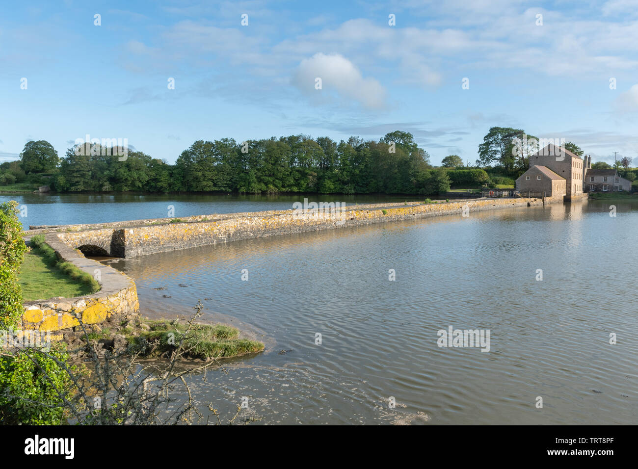 Carew Tidal Mill and causeway over the millpond, Pembrokeshire, Wales ...