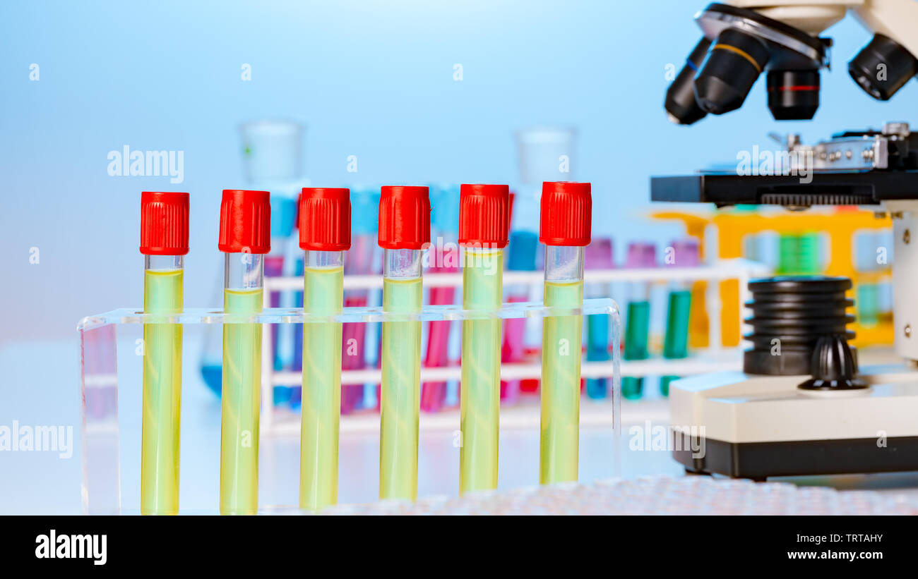 Test tubes and flasks and microscope in a chemical laboratory Stock ...
