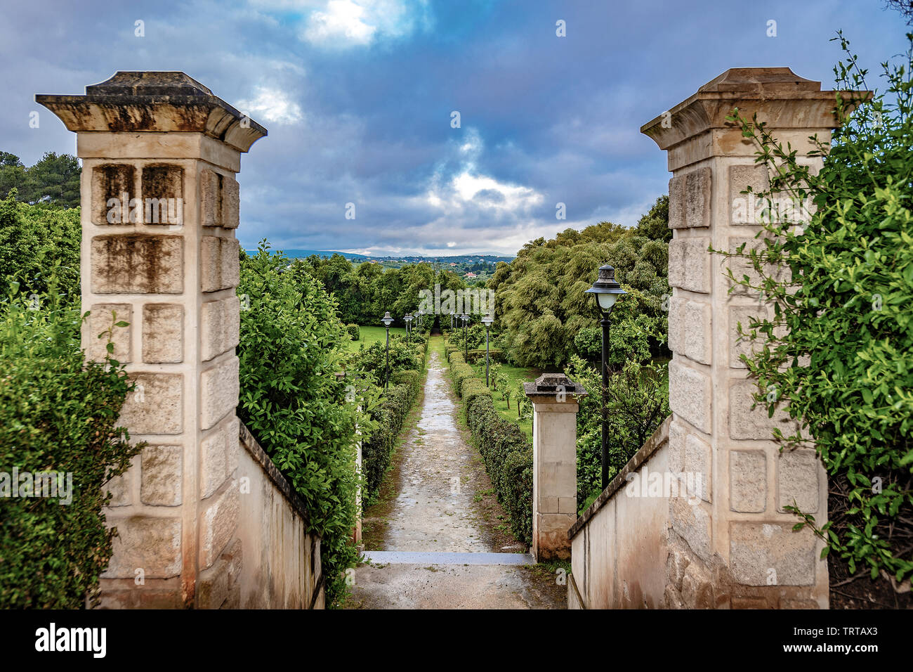Italy Sardinia Sassari Monserrato Park stairs garden with cypress, palm ...